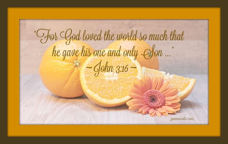 The Orange | Joanne Viola