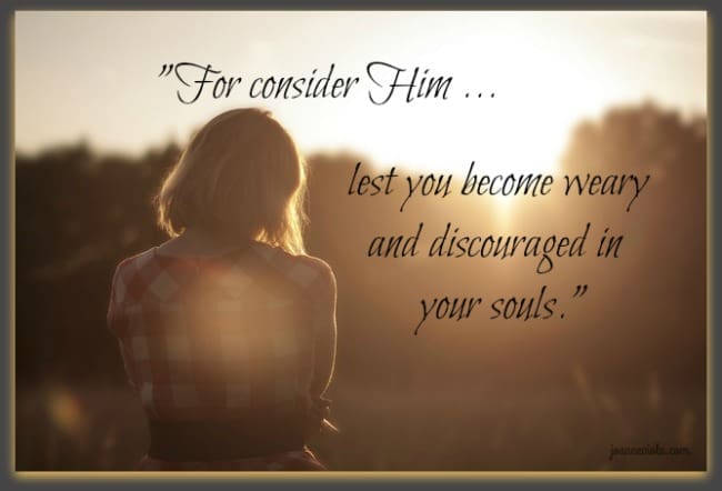 Consider Him | Joanne Viola