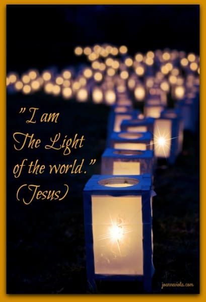 Our Luminary | Joanne Viola