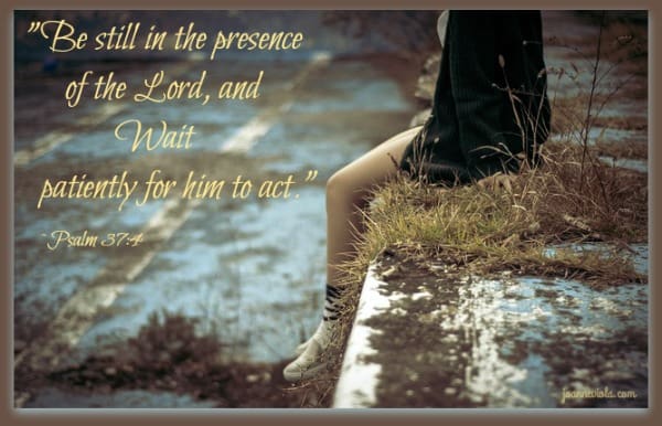 Trust While Waiting | Joanne Viola