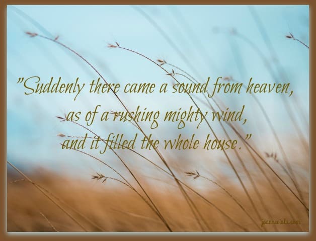 A Rushing Wind | Joanne Viola