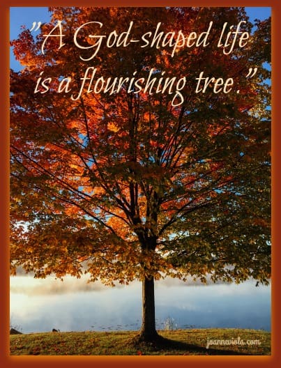 A Flourishing Tree | Joanne Viola