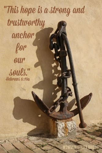 A Strong & Trustworthy Anchor | Joanne Viola