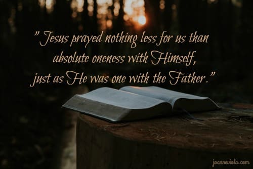 Absolute Oneness | Joanne Viola