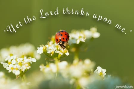 God is Thinking | Joanne Viola