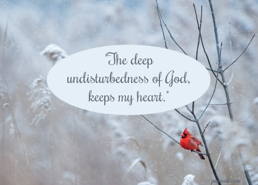 Untroubled Peace | Joanne Viola