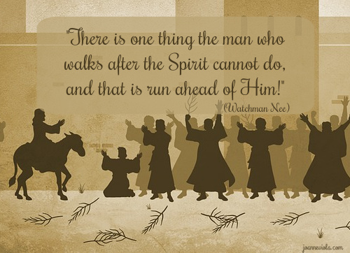 Walk After Him | Joanne Viola