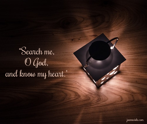 Search Me | Joanne Viola