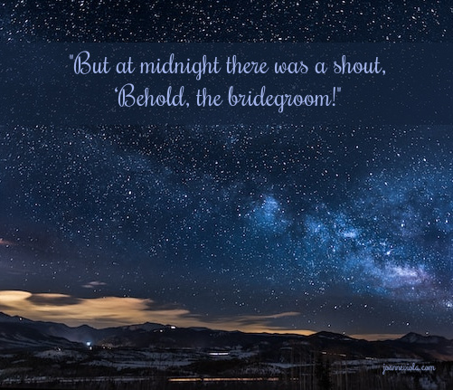 The Midnight Cry | Joanne Viola