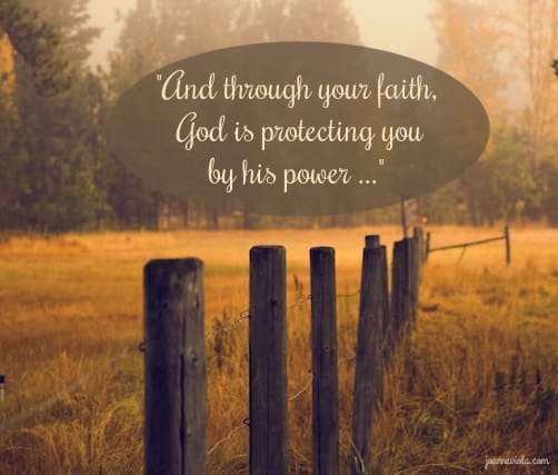 Our Faith, Our Shield | Joanne Viola