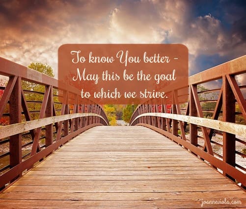 Strive | Joanne Viola